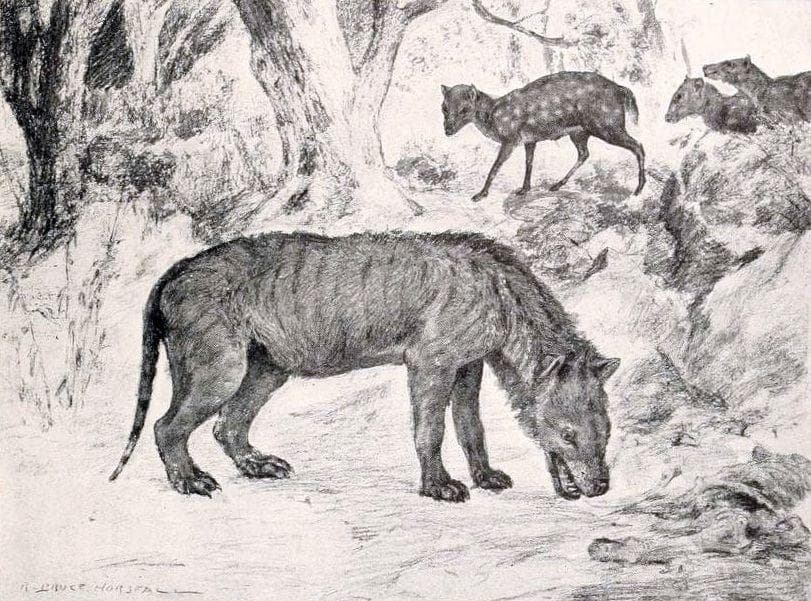 Giant Polar Bear-Lion Hybrid Found: Meet One Of The Biggest Carnivores Ever