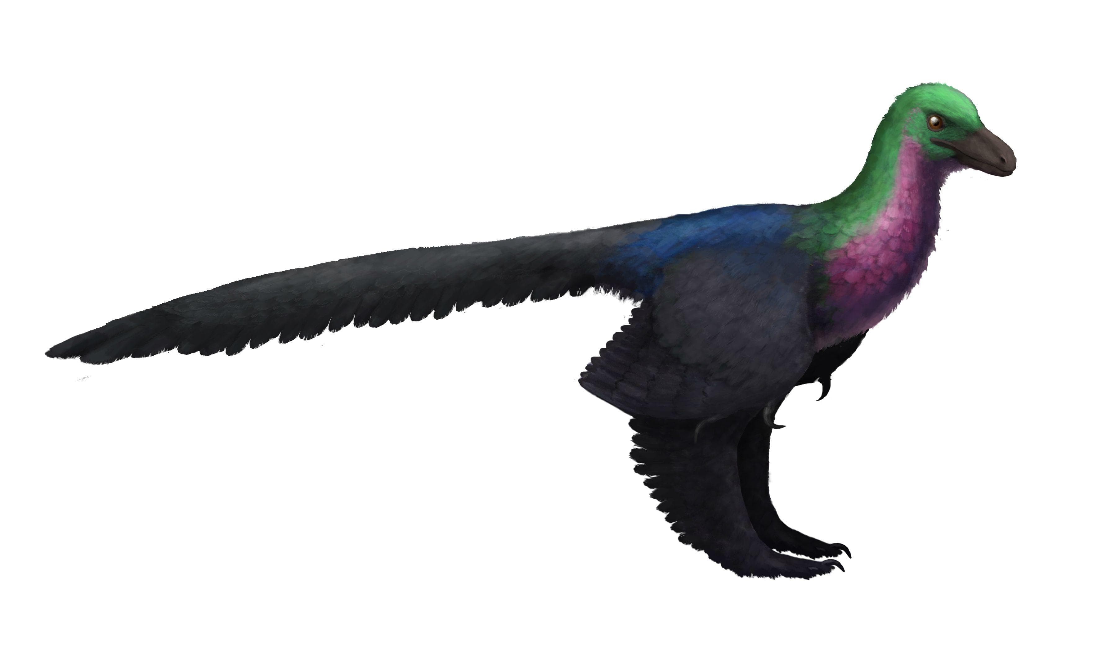 What Dinosaurs Really Looked Like, According to Scientists