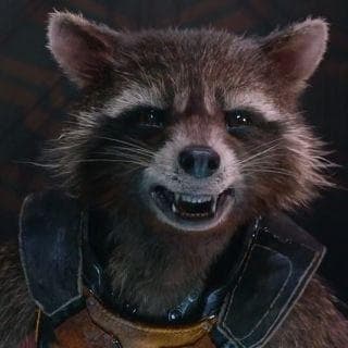 The Best Rocket Raccoon Quotes From The MCU, Ranked By Fans