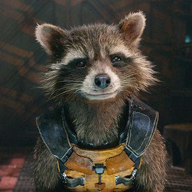 The Best Rocket Raccoon Quotes From The MCU, Ranked By Fans