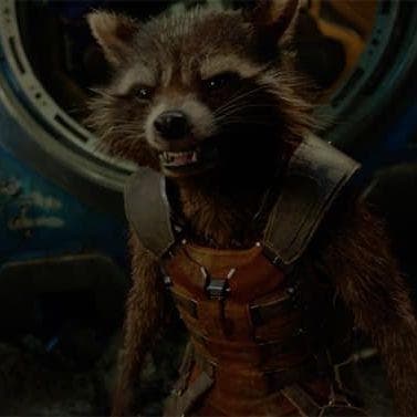The Best Rocket Raccoon Quotes From The MCU, Ranked By Fans