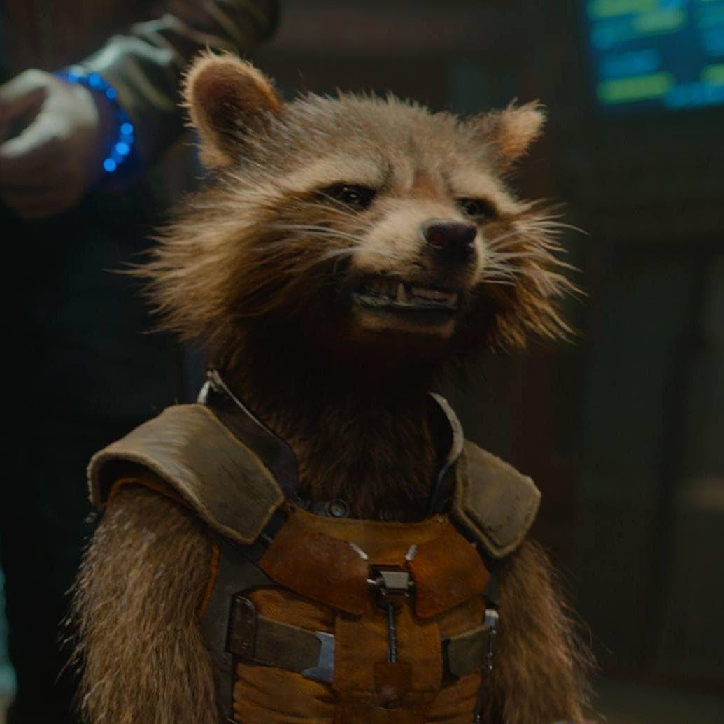 The Best Rocket Raccoon Quotes From The MCU, Ranked By Fans