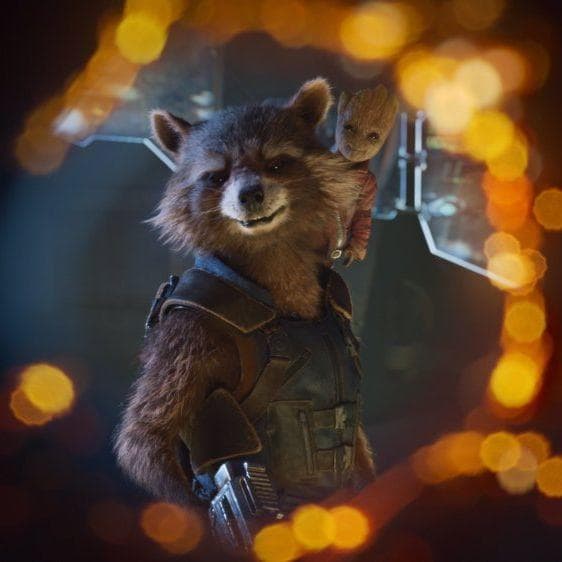 Guardians Of The Galaxy Rocket Quotes
