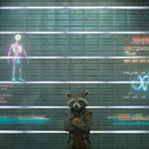 The Best Rocket Raccoon Quotes From The MCU, Ranked By Fans