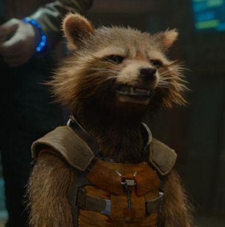The Best Rocket Raccoon Quotes From The MCU, Ranked By Fans