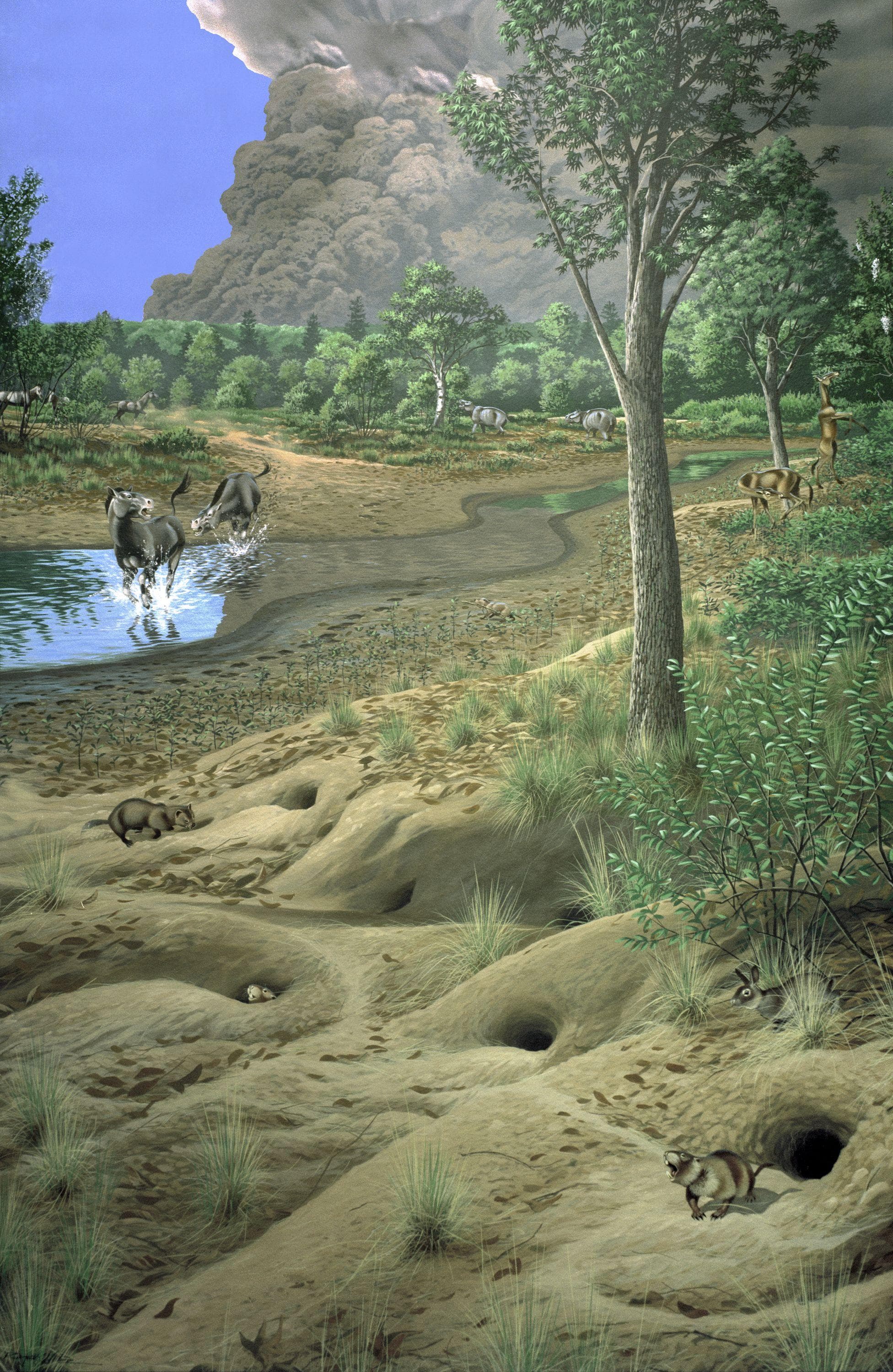 Facts About Hell Pigs, Giant Prehistoric Creatures That Weighed 2000 Lbs