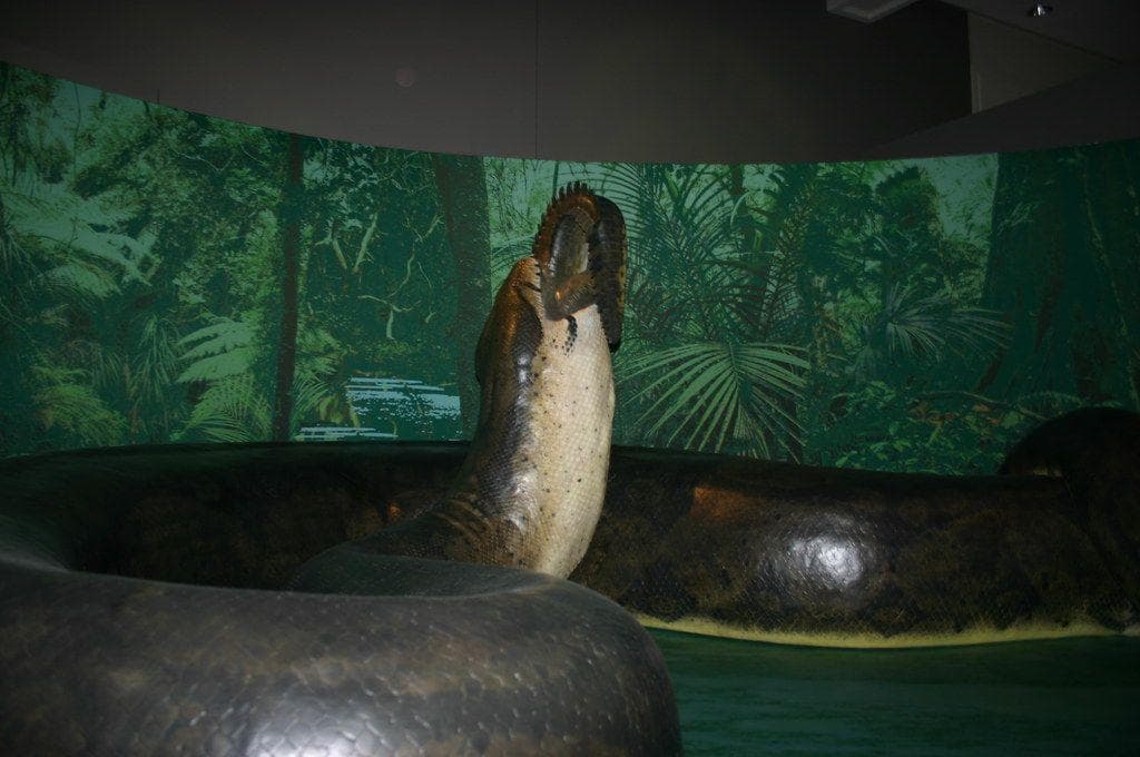 Scary Extinct Animals: Extinct Beasts Ranked By How Terrifying They Are