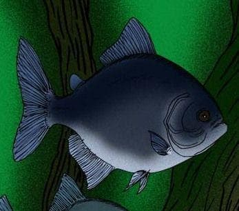 Scary Extinct Animals: Extinct Beasts Ranked By How Terrifying They Are