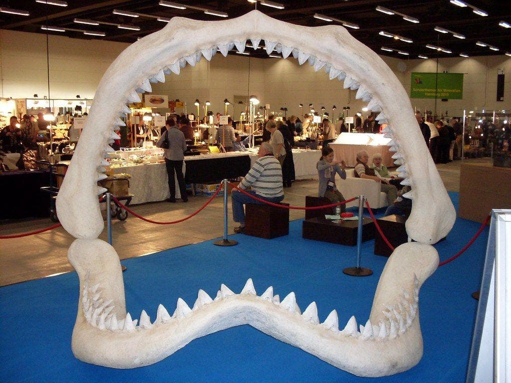 Scary Extinct Animals: Extinct Beasts Ranked By How Terrifying They Are