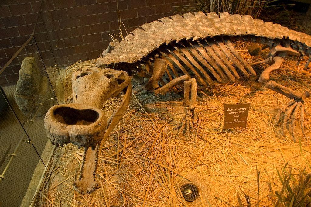 Scary Extinct Animals: Extinct Beasts Ranked By How Terrifying They Are
