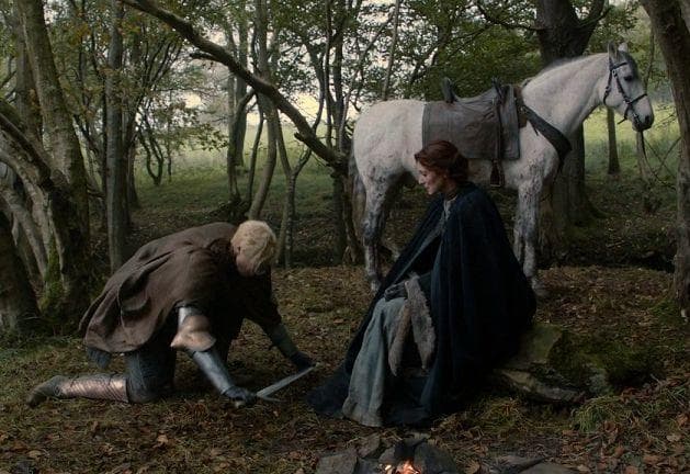 How Did Brienne Of Tarth Become A Hero? A Complete Timeline