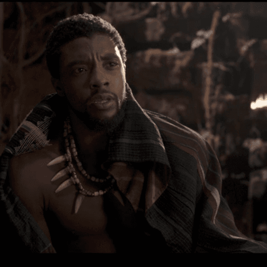 Black Panther's Best Quotes From MCU Movies, Ranked By Fans