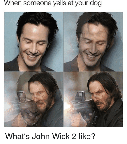 15 John Wick Memes
