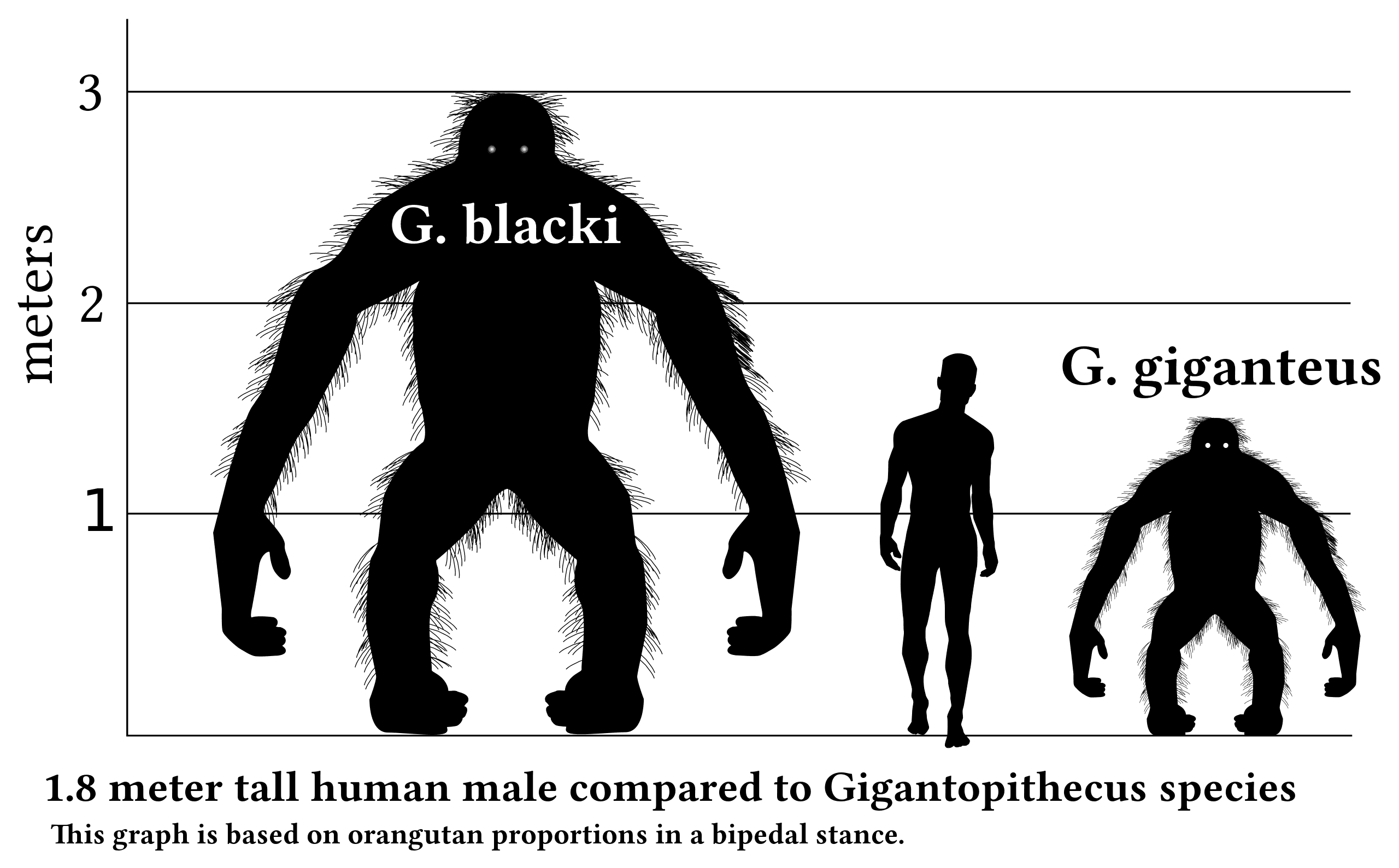 What Is Gigantopithecus? Meet The 10-Foot Ape Doomed By Its Own Coolness