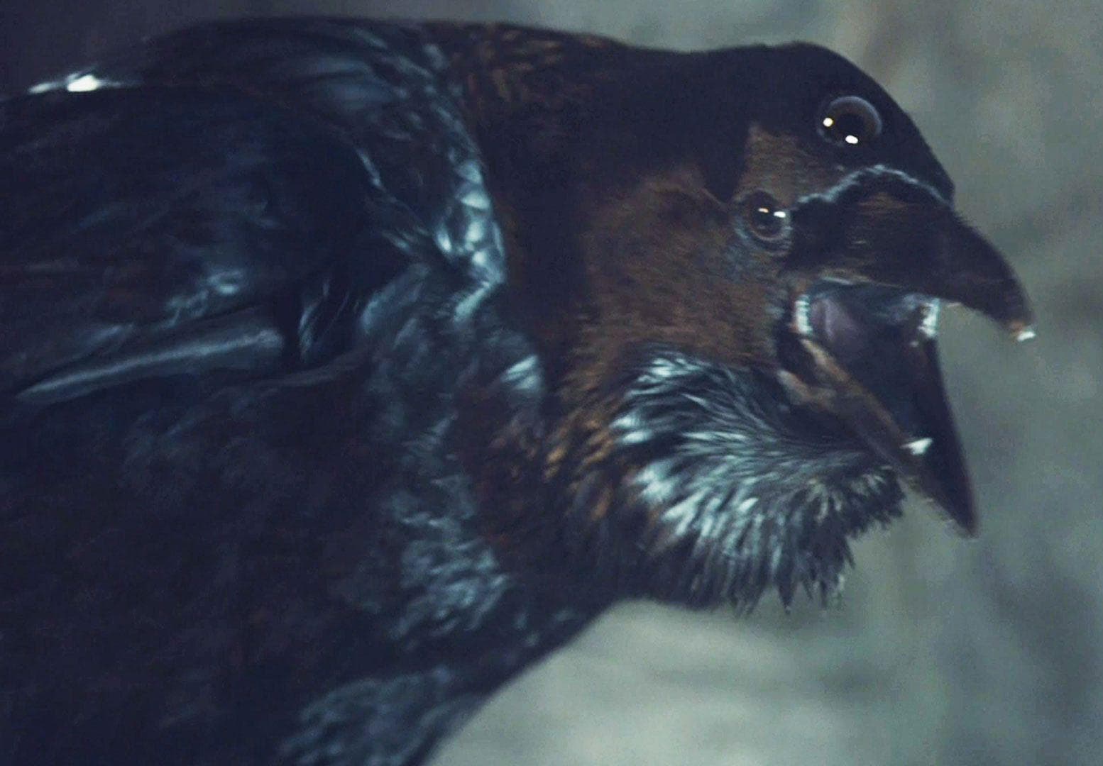 Bran Stark On The Iron Throne: All The Clues You Missed That It Was ...