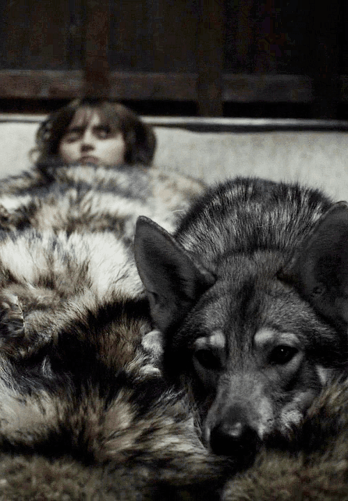 Bran Stark On The Iron Throne: All The Clues You Missed That It Was ...