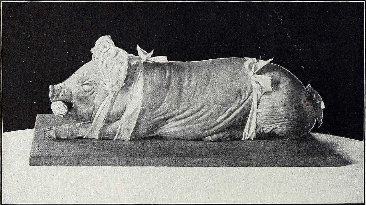 What Did People Eat In Soviet Russia