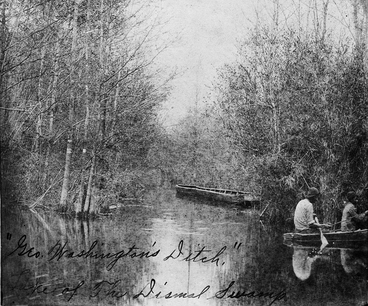 Great Dismal Swamp Stories & Legends: Does It Swallow People Alive?