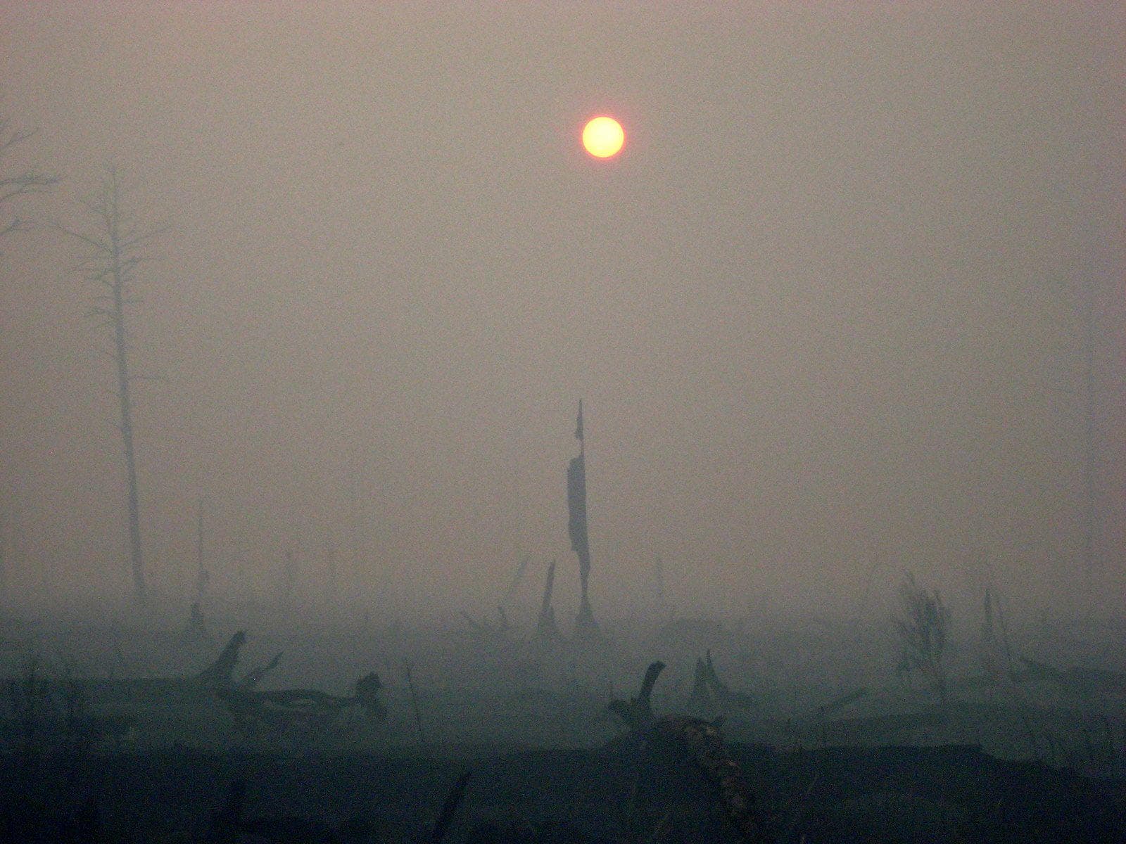 Great Dismal Swamp Stories & Legends: Does It Swallow People Alive?