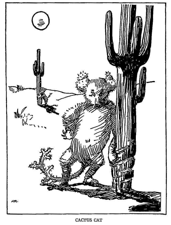 Mojave Desert Urban Legends That Will Creep You Out