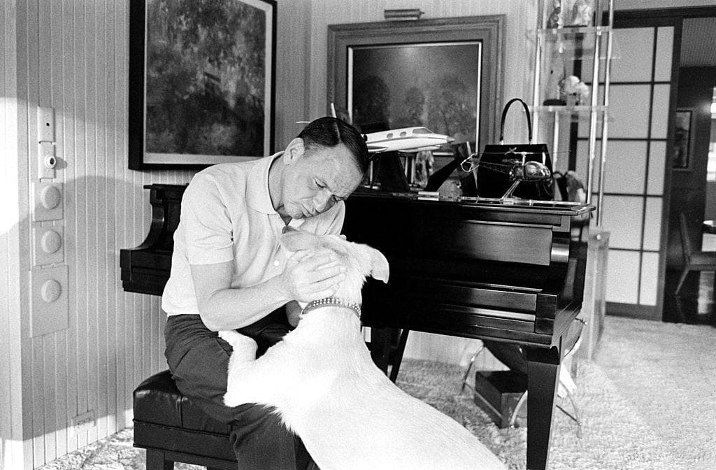 20 Photos Of Old Hollywood Stars In Palm Springs