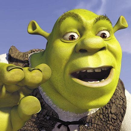 The 27 Best Quotes From 'Shrek'