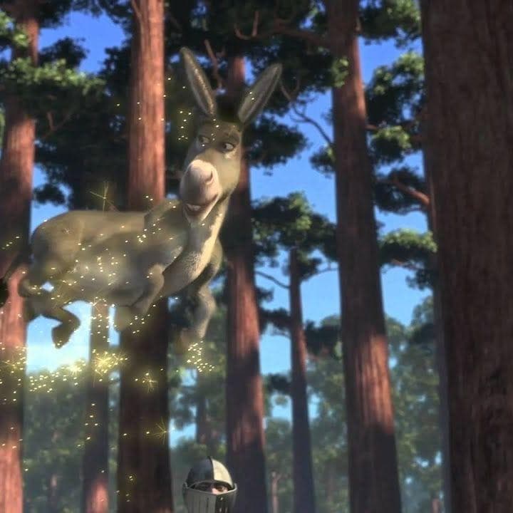 The 27 Best Quotes From 'Shrek'