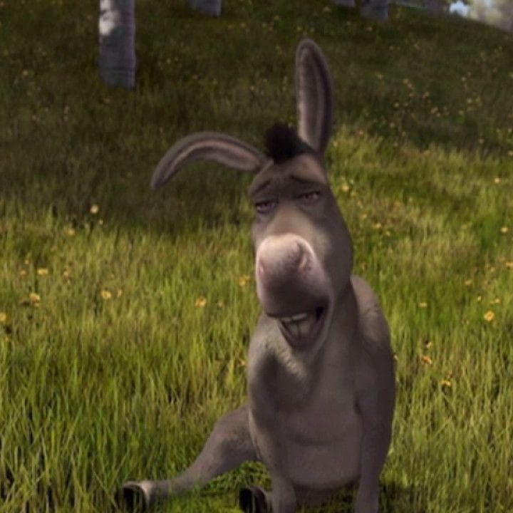 The 27 Best Quotes From 'Shrek'