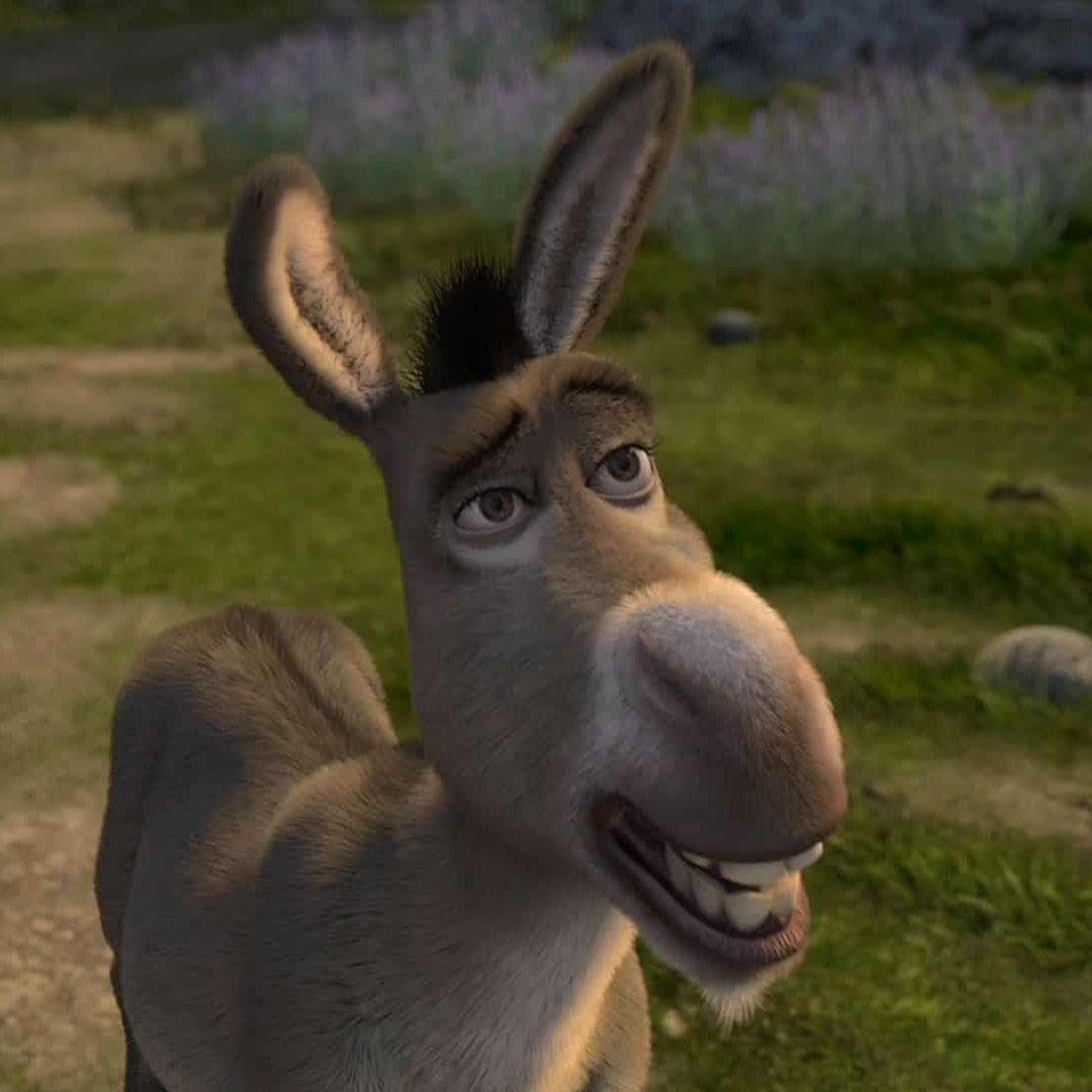 The 27 Best Quotes From 'Shrek'