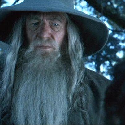 The 24 Best Gandalf Quotes from Lord of the Rings, Ranked By Fans