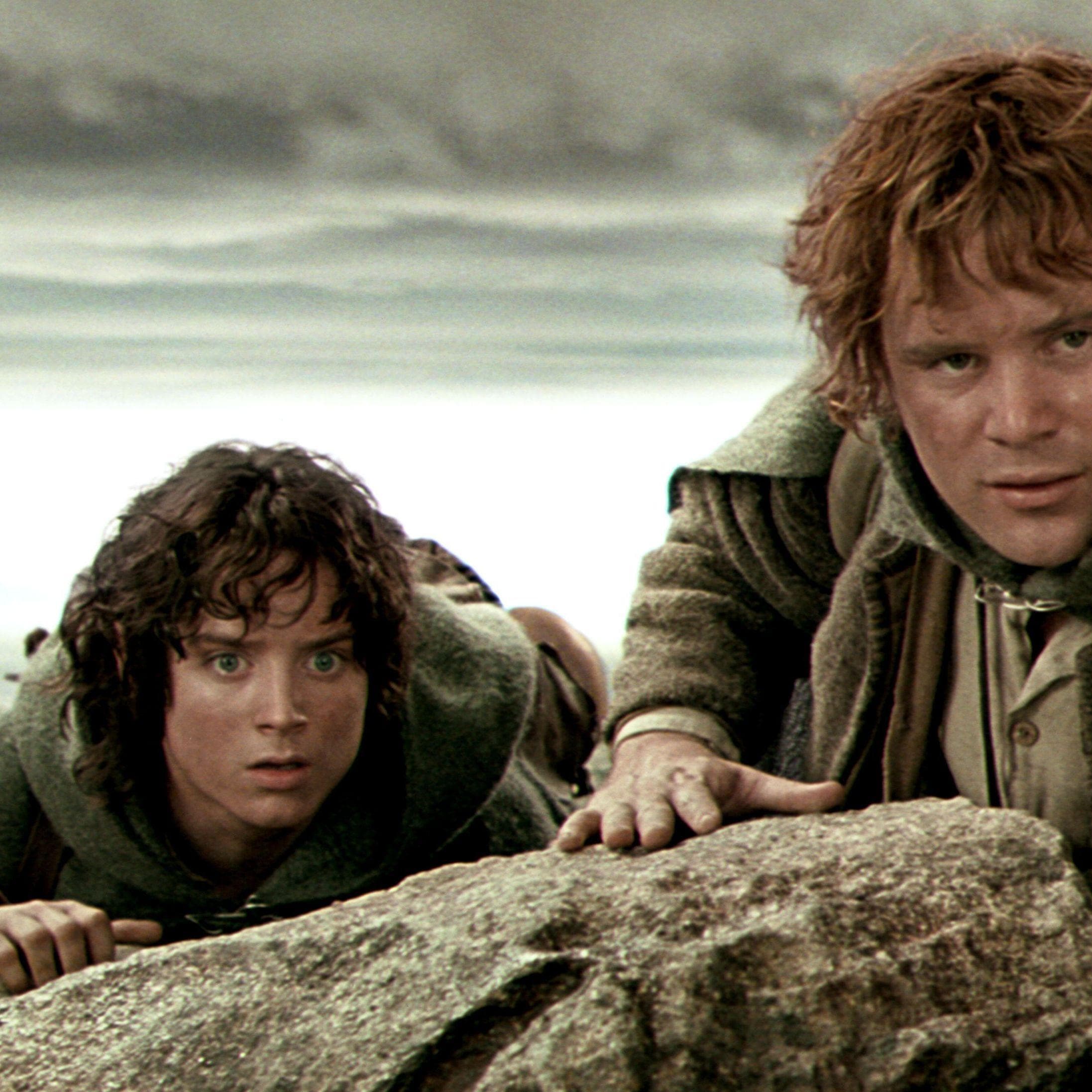 The Best Frodo Baggins Quotes