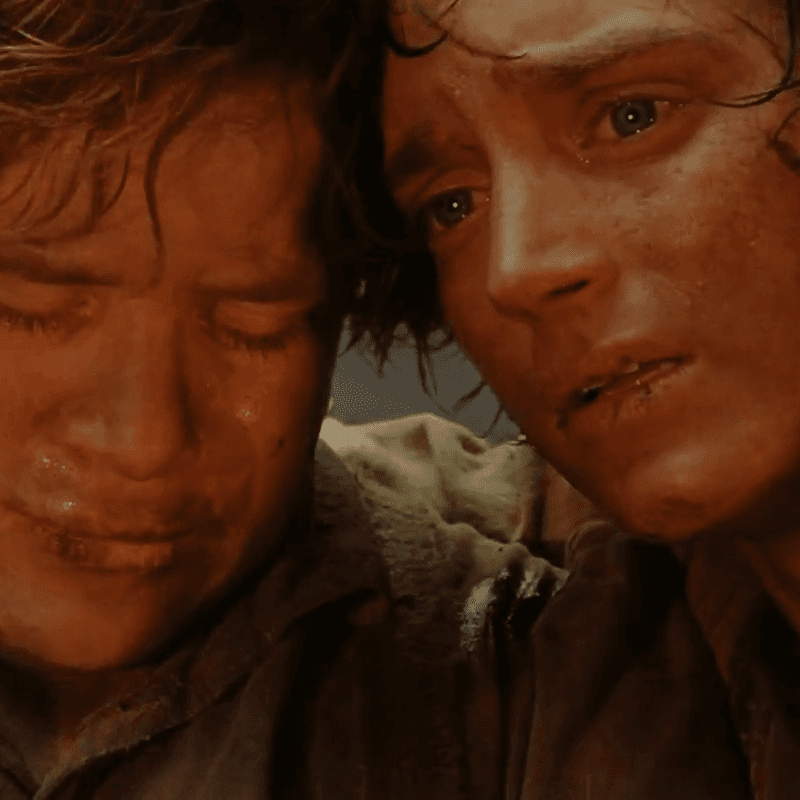 The 25 Best Frodo Baggins Quotes, Ranked