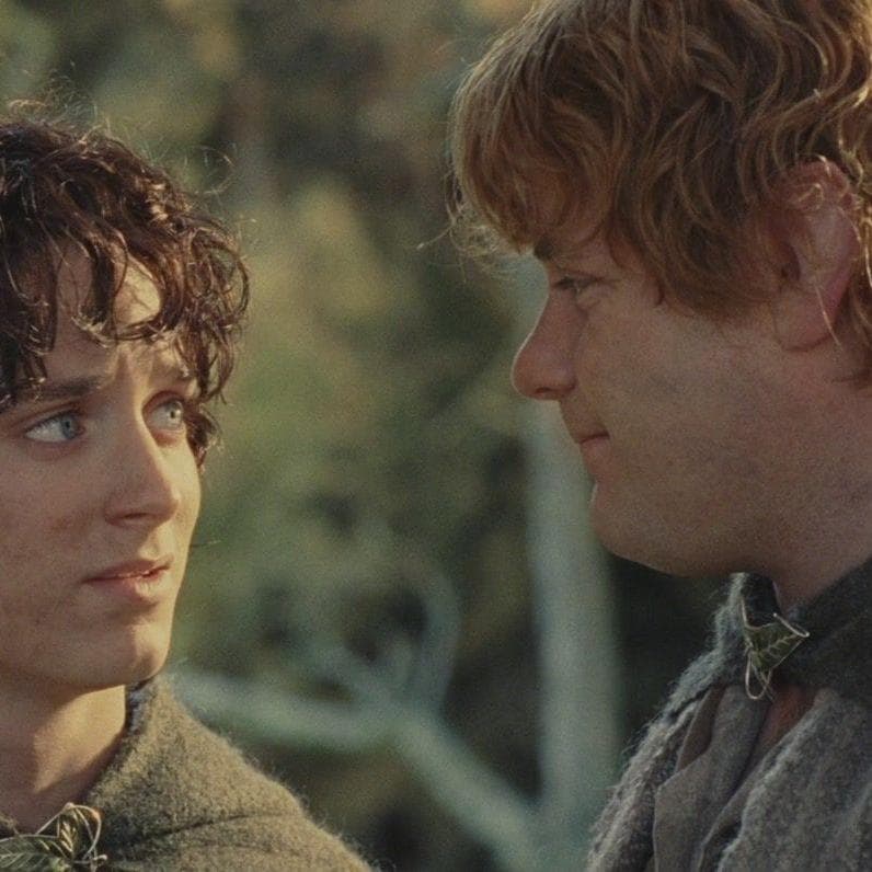 The 25 Best Frodo Baggins Quotes, Ranked