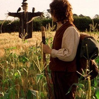 The 25 Best Frodo Baggins Quotes, Ranked
