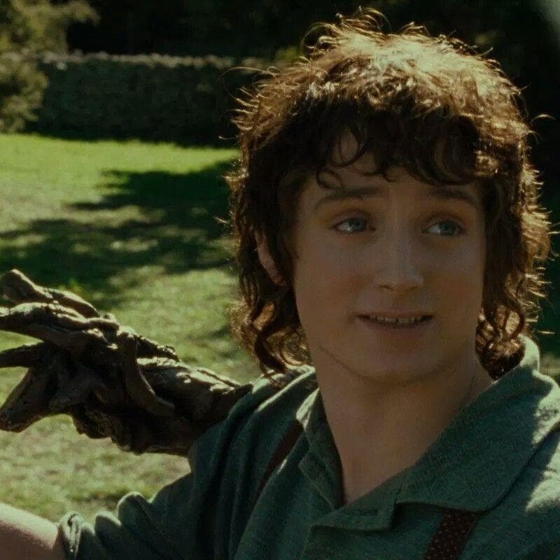The 25 Best Frodo Baggins Quotes, Ranked