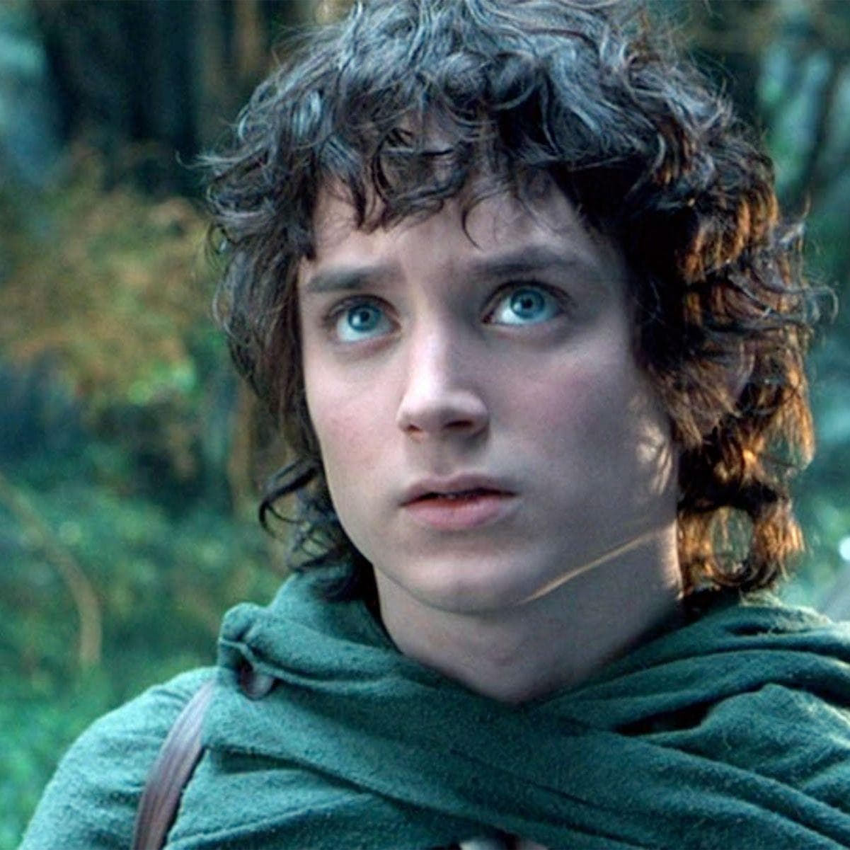 The 25 Best Frodo Baggins Quotes, Ranked