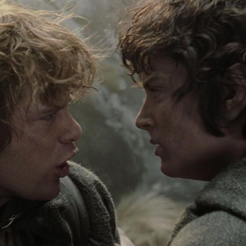 The 25 Best Frodo Baggins Quotes, Ranked