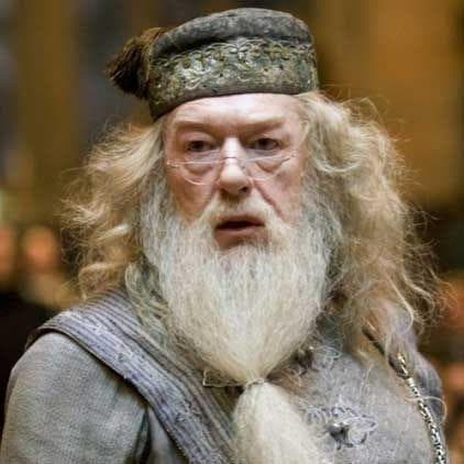 The 24 Best Albus Dumbledore Quotes, Ranked By Fans