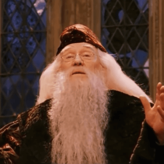 The 24 Best Albus Dumbledore Quotes, Ranked By Fans