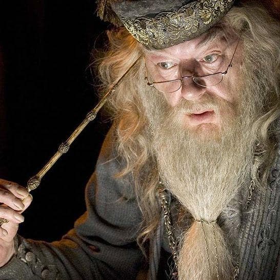 The 24 Best Albus Dumbledore Quotes, Ranked By Fans