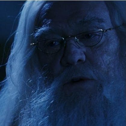 The 24 Best Albus Dumbledore Quotes, Ranked By Fans