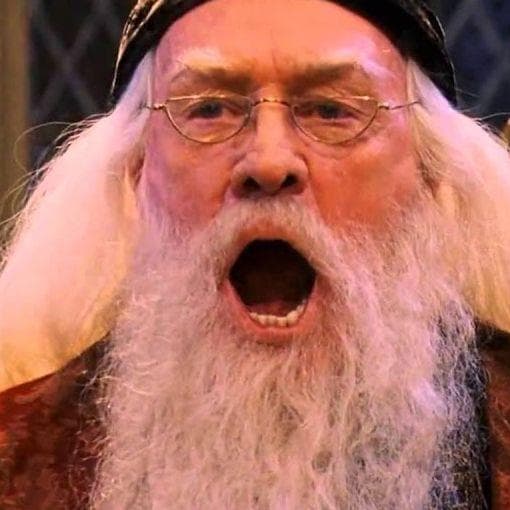 The 24 Best Albus Dumbledore Quotes, Ranked By Fans