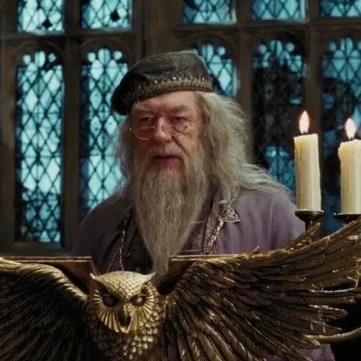 The 24 Best Albus Dumbledore Quotes, Ranked By Fans