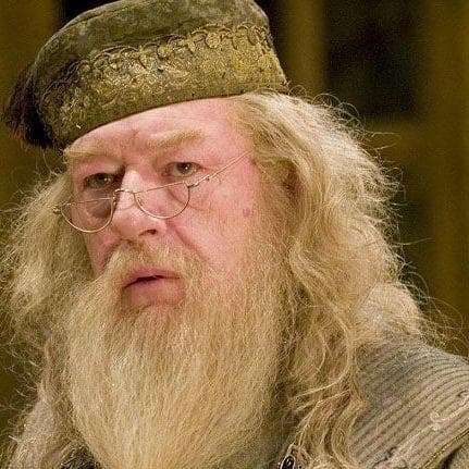 The 24 Best Albus Dumbledore Quotes, Ranked By Fans
