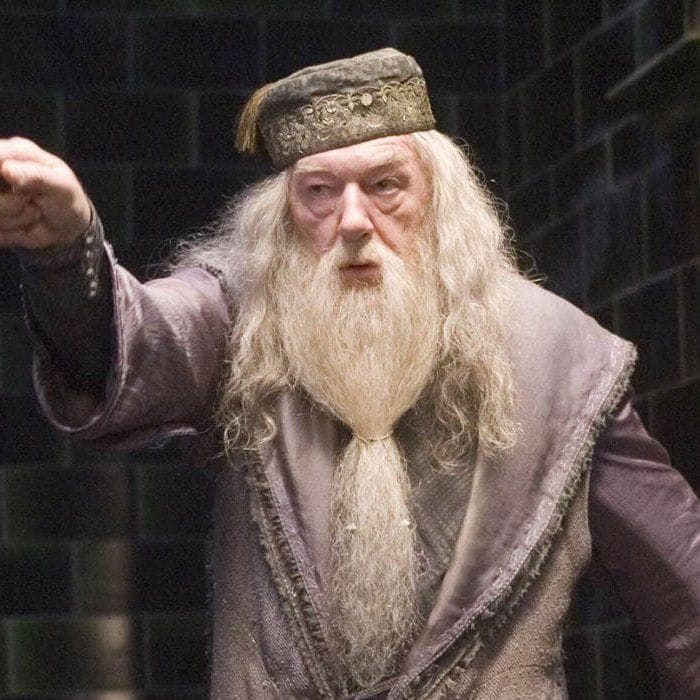 The 24 Best Albus Dumbledore Quotes, Ranked By Fans