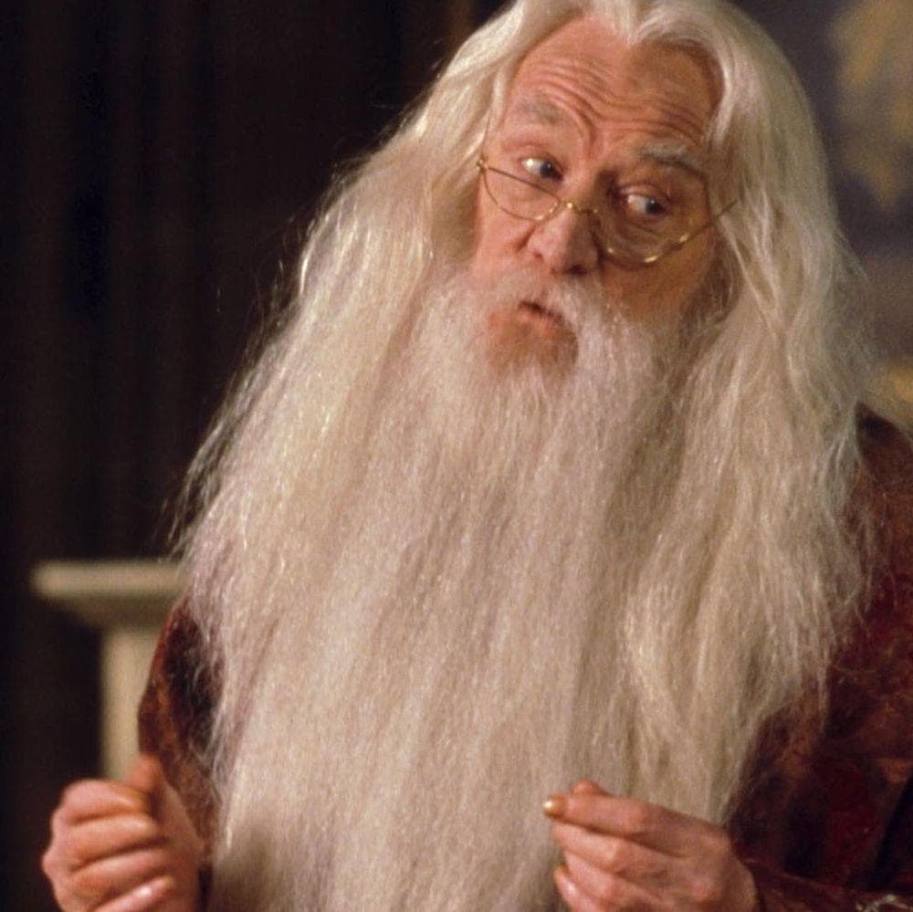 The 24 Best Albus Dumbledore Quotes, Ranked By Fans
