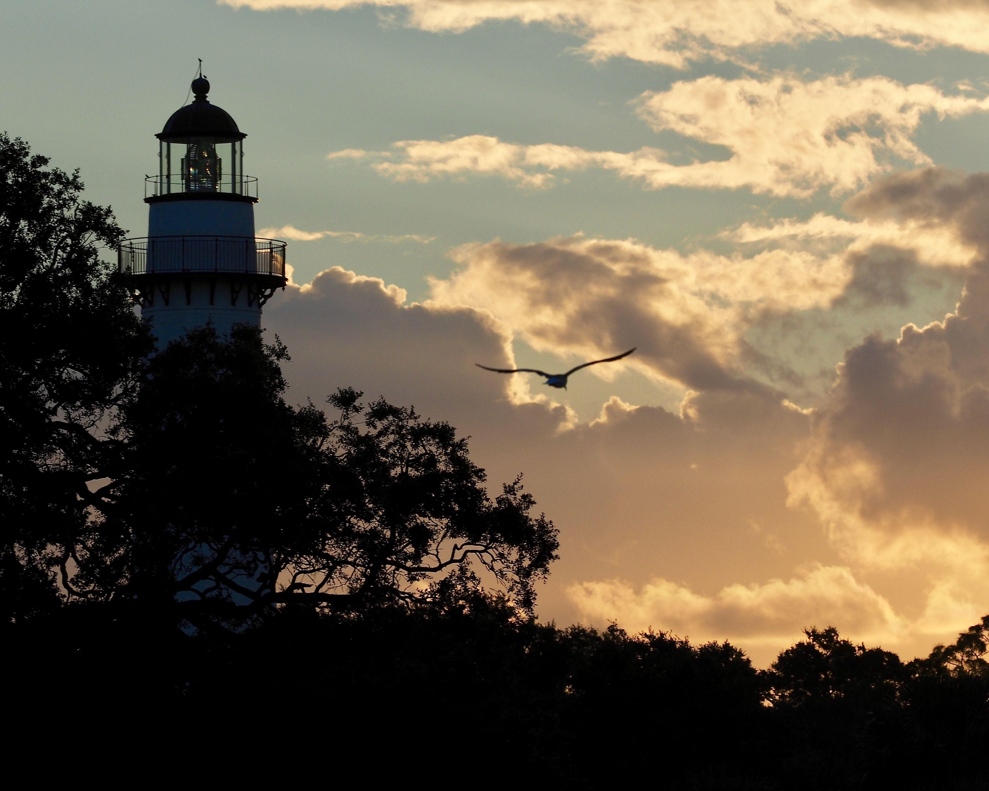 Haunted Lighthouse Stories That'll Creep You Out