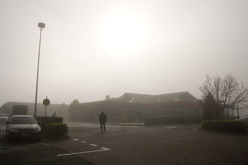 Why Did The Tromp Family Leave Their Farm? Even They Don't Know