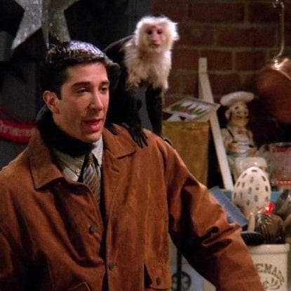 The Best Ross Geller Quotes, Ranked by Fans