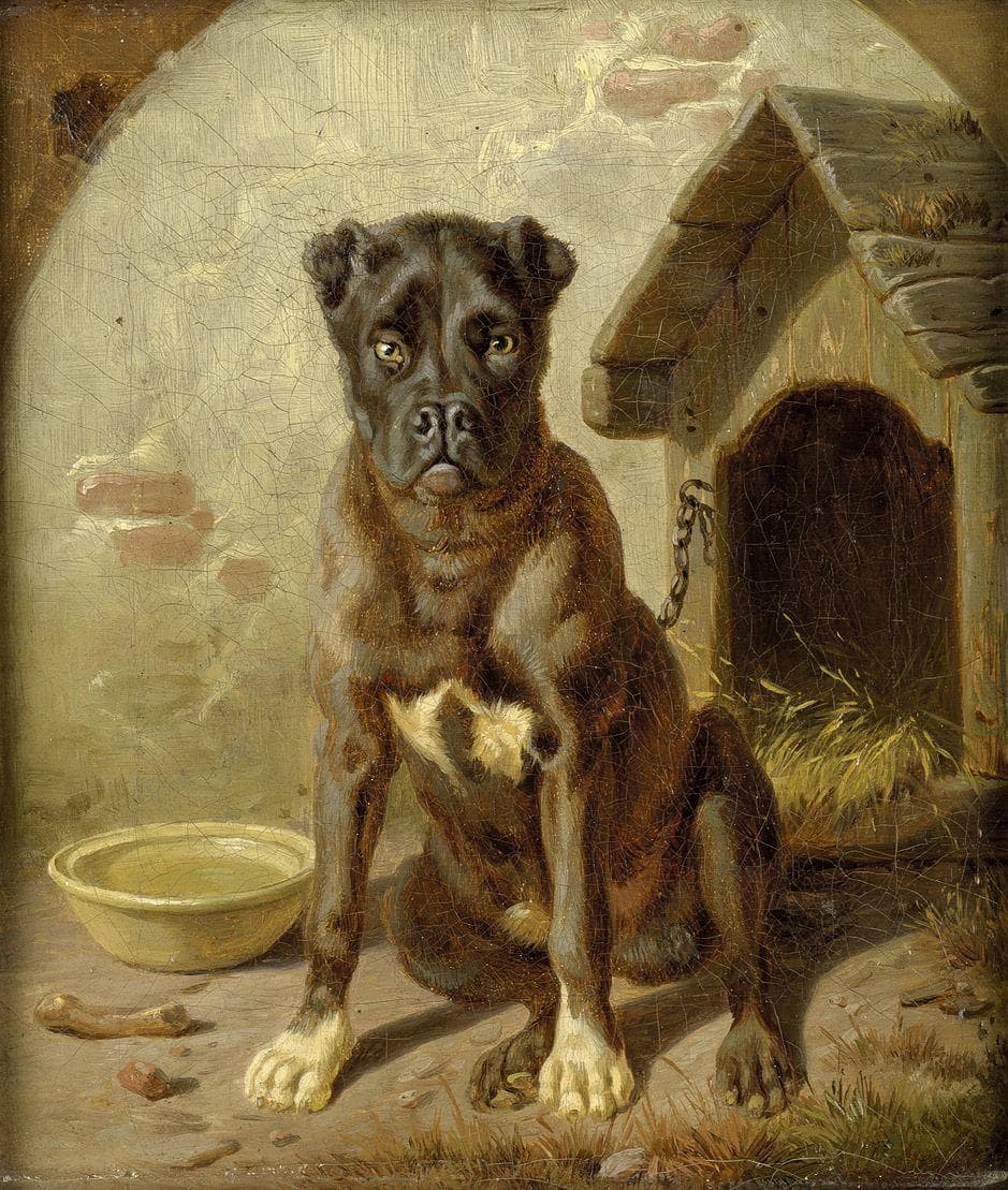 Bulldog Evolution: How The Breed Has Changed Over Time